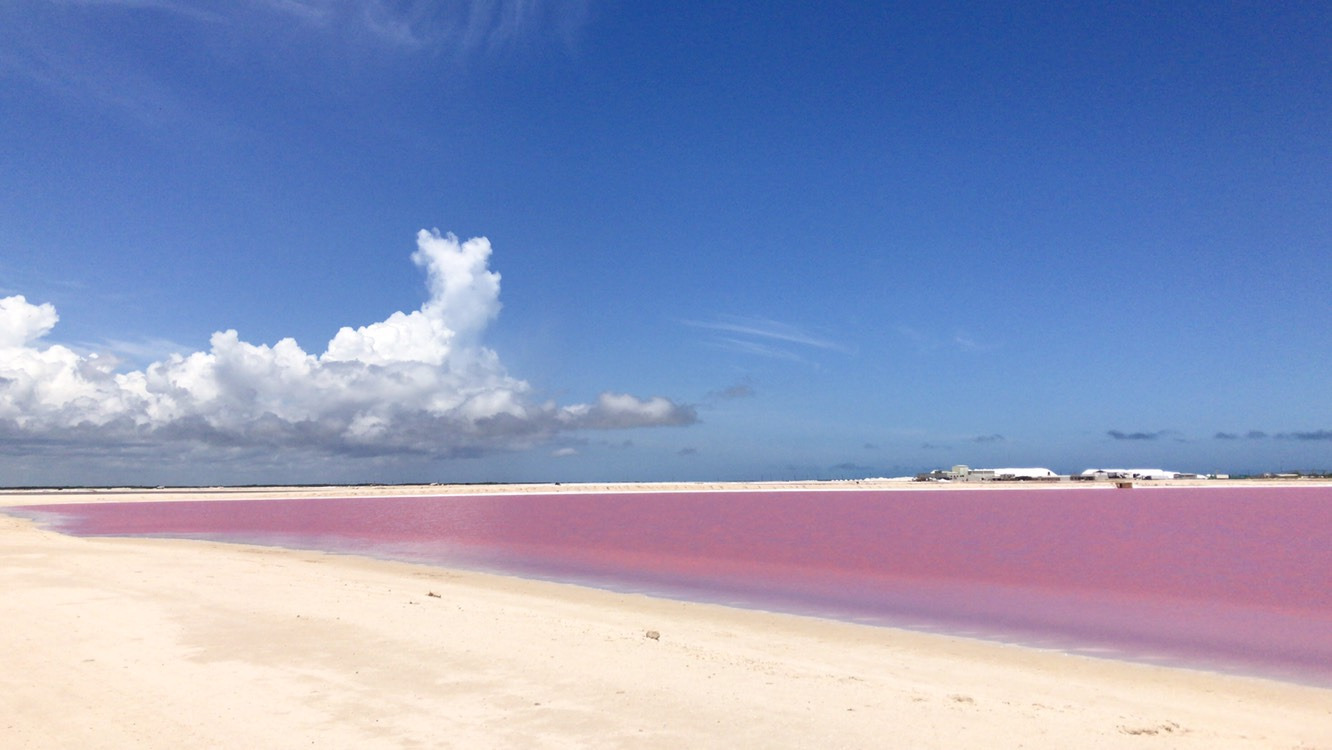 Las Coloradas - JPM Tours